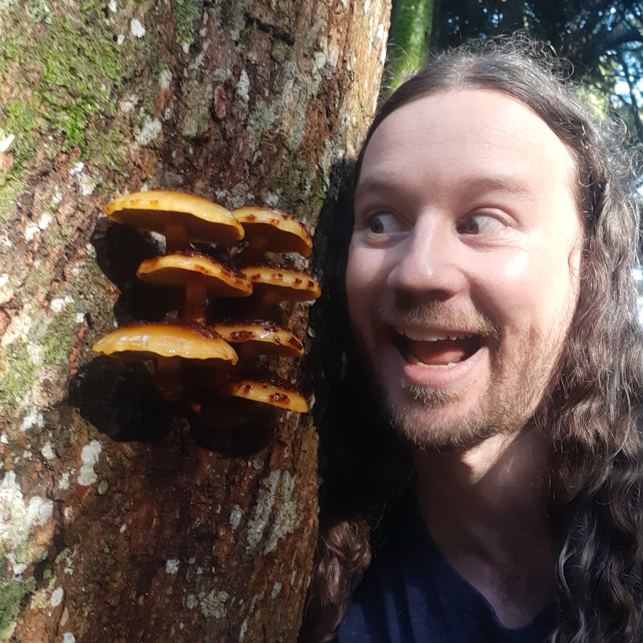 Ask a mycologist: Fungi and climate - Auckland Climate Festival